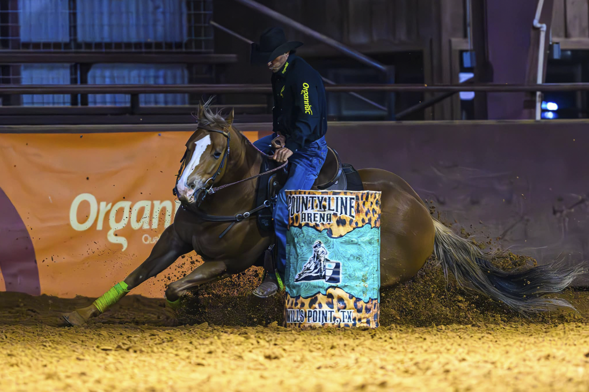 ATP More Energy For Your Horse – Organnact