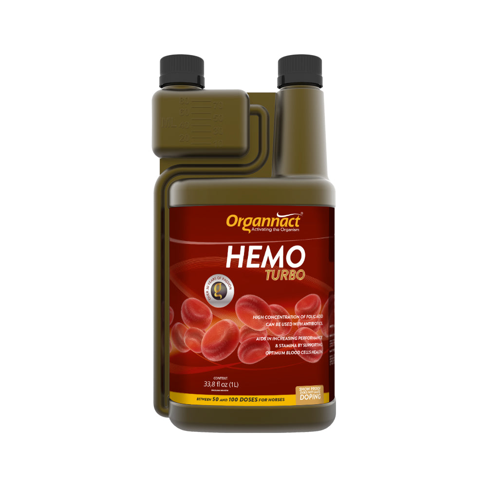 Organnact Hemo Turbo Horse Supplement – Organnact